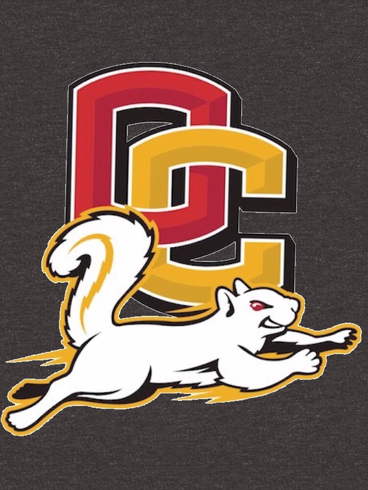 "Oberlin College" Essential T-Shirt for Sale by machasgear | Redbubble
