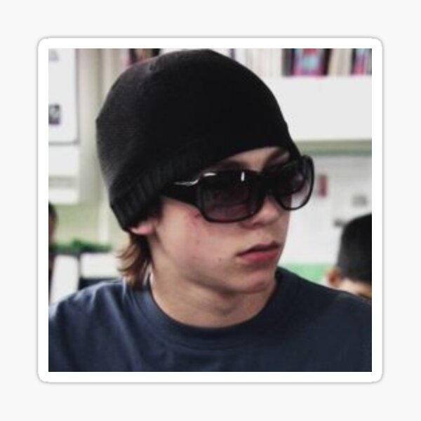 "Sid Skins UK" Sticker for Sale by nicolepica | Redbubble