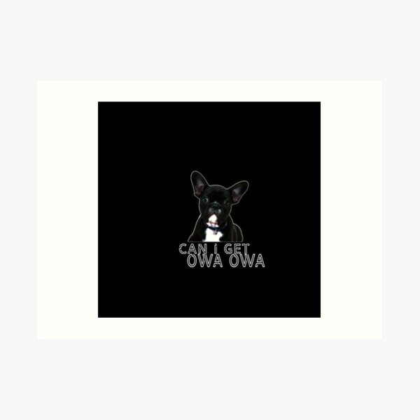 "Dog Owa -can i get an owa owa - owa owa pudgy" Art Print for Sale by ...