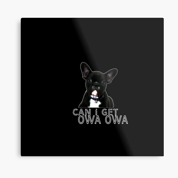 "Dog Owa -can i get an owa owa - owa owa pudgy" Metal Print for Sale by ...