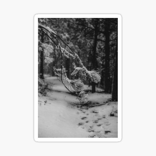 Snowfall Merch & Gifts for Sale | Redbubble