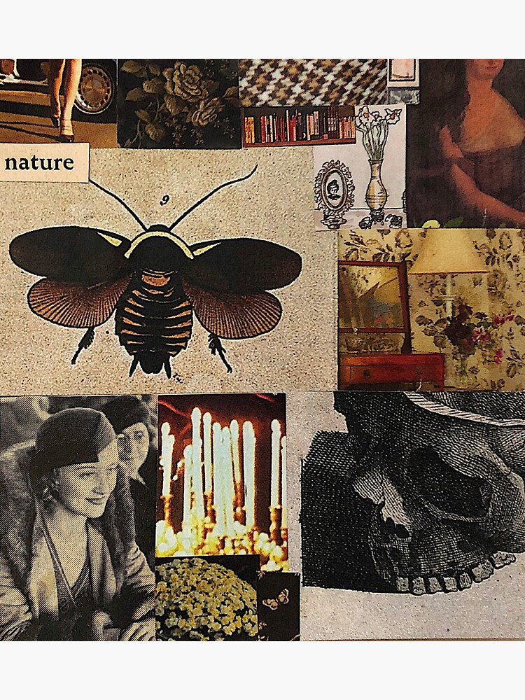 Show Your Teeth” collage art design" Sticker by Trashjunky | Redbubble