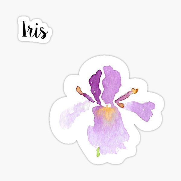 "Watercolor Purple and Orange Iris Flower" Sticker by CamilleIllus ...