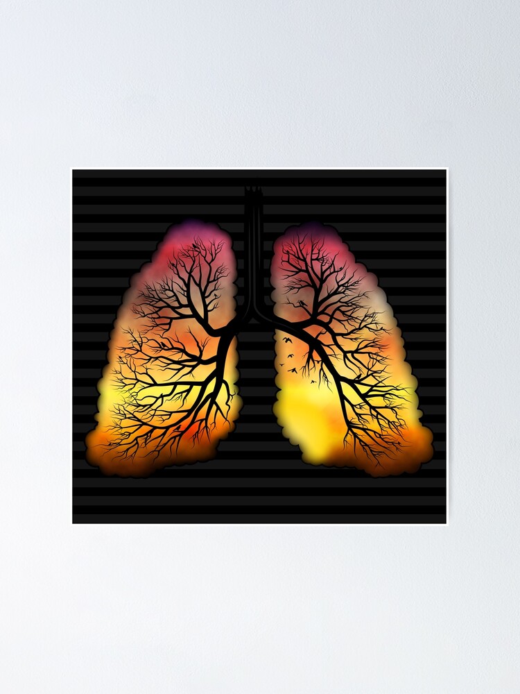 "Bronchial Tree" Poster by RTSdesigns | Redbubble