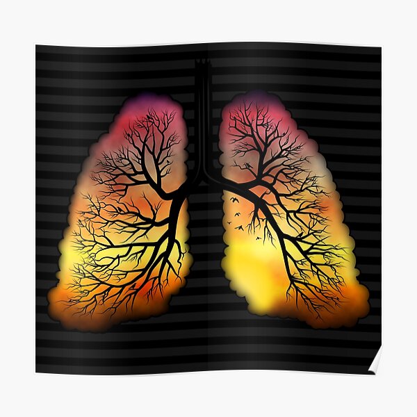 "Bronchial Tree" Poster by RTSdesigns | Redbubble
