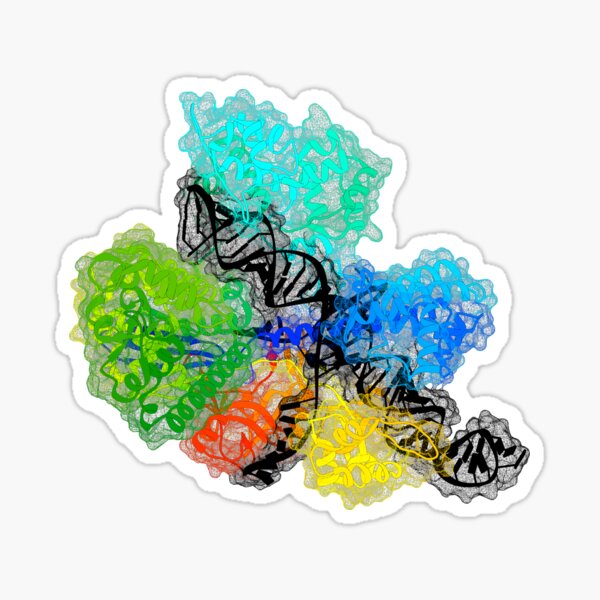 "CRISPR Cas9" Sticker for Sale by 3D-Biology | Redbubble