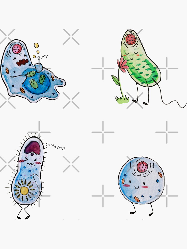 "Cell Diversity Set" Sticker by RachScribbles | Redbubble