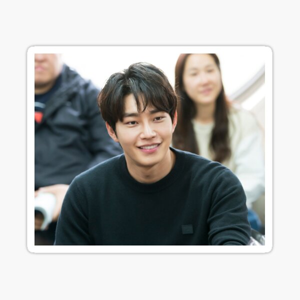 "Kim Jae-young" Sticker by sitajuwita84 | Redbubble