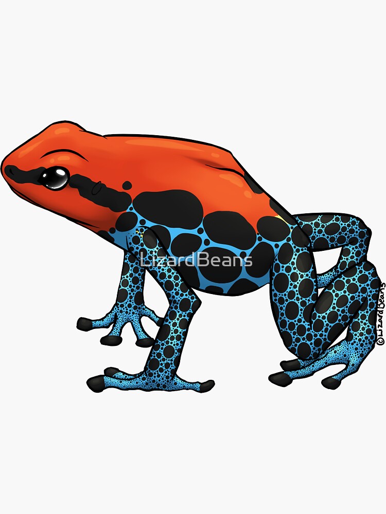 "Red Backed Poison Dart Frog" Sticker for Sale by LizardBeans | Redbubble