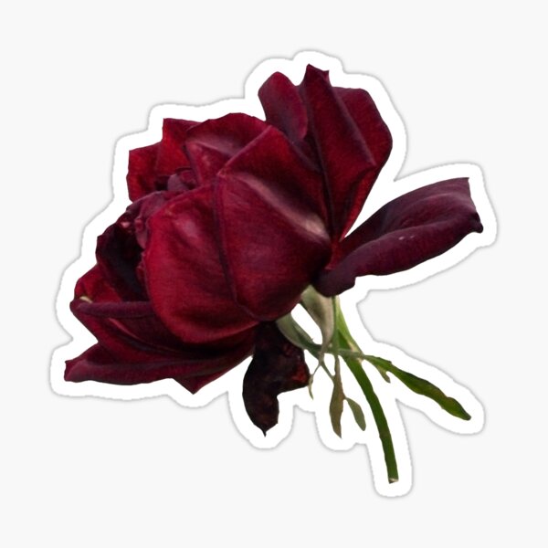 "red rose in black" Sticker for Sale by 3dgartstudio | Redbubble