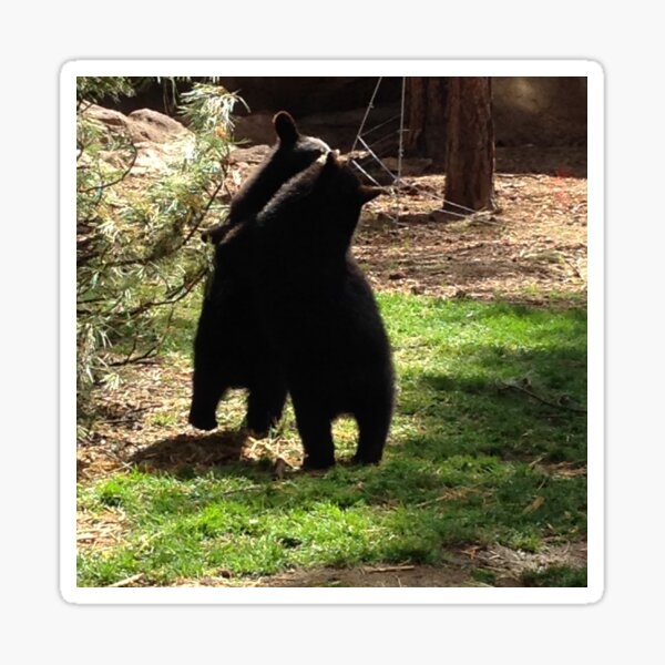 Bearizona Gifts & Merchandise | Redbubble