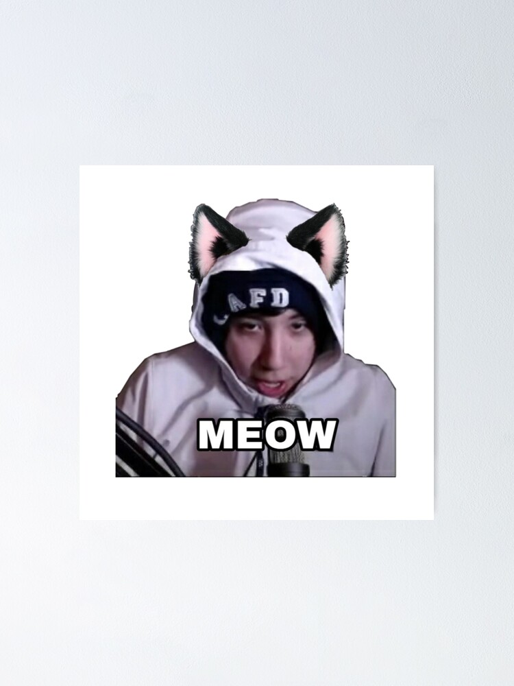 "Quackity catboy" Poster for Sale by teenreina | Redbubble