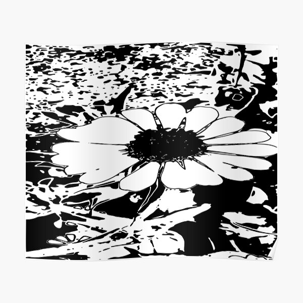 "beautiful flower black n white color" Poster by Elzahira | Redbubble