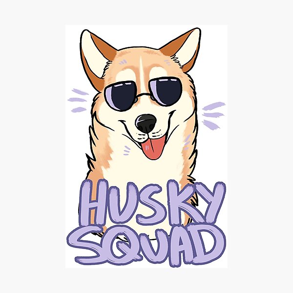 "HUSKY SQUAD (light red)" Photographic Print for Sale by mexicanine ...