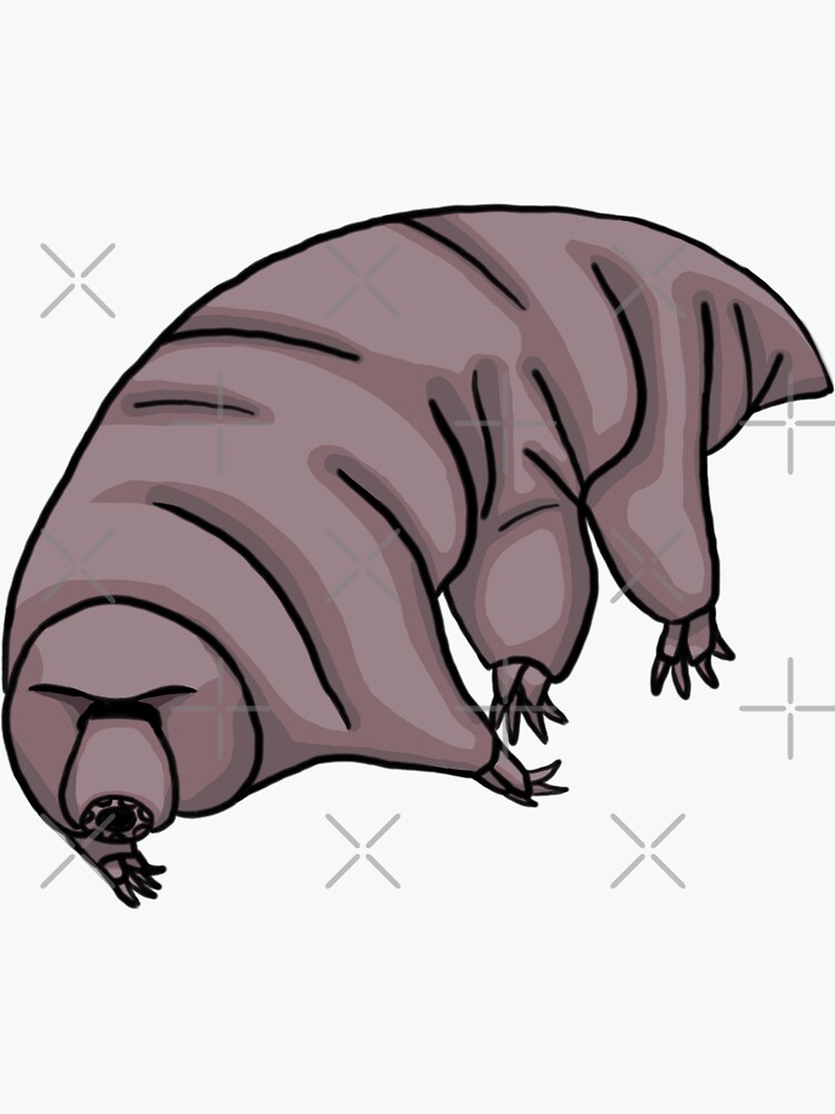 "Cute Tardigrade" Sticker by TheDoodlingOrc | Redbubble