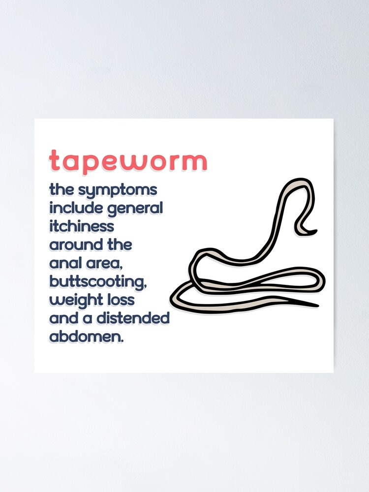 "do i have a tapeworm?" Poster for Sale by porcelainstain | Redbubble