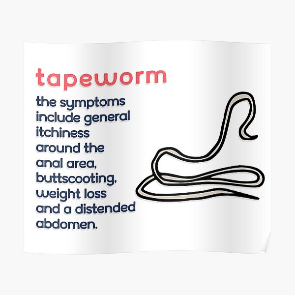 "do i have a tapeworm?" Poster for Sale by porcelainstain | Redbubble