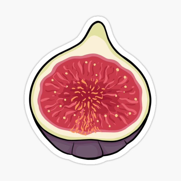"fig" Sticker for Sale by theboonshop | Redbubble