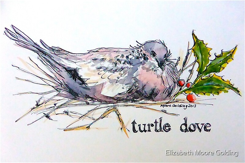 "Turtle dove. ('Two turtle doves...'). The Twelve days of Christmas ...