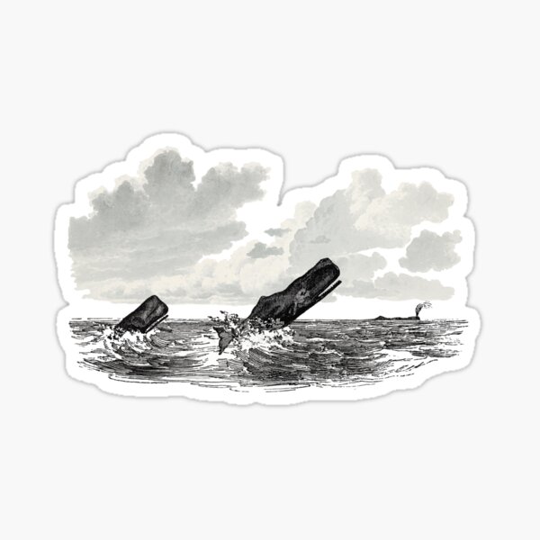 "Breaching!" Sticker for Sale by retro-americana | Redbubble