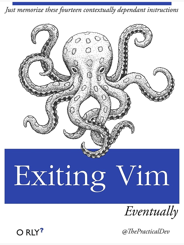 "Exiting Vim" Poster for Sale by moondry | Redbubble