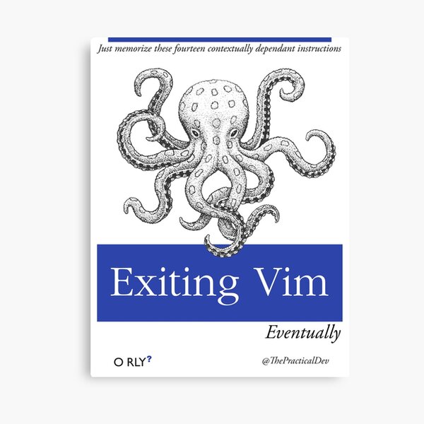 Exiting Vim Canvas Print For Sale By Moondry Redbubble 8732