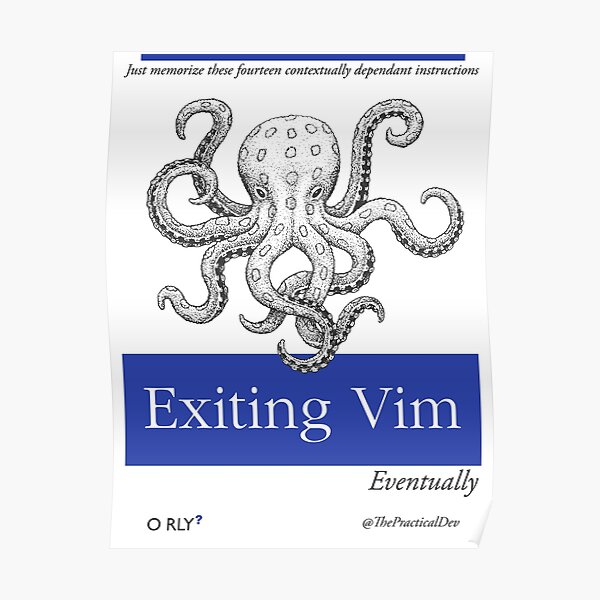 "Exiting Vim" Poster for Sale by moondry | Redbubble