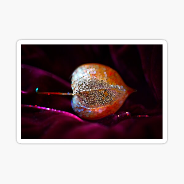 "Sparkling Physalis " Sticker for Sale by Alisonchambers2 | Redbubble
