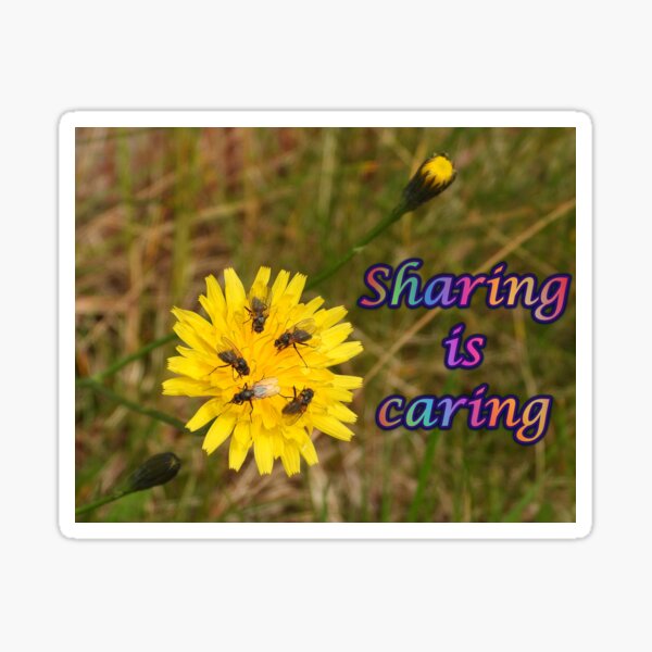 "Sharing is caring" Sticker for Sale by ReCreativeArt | Redbubble
