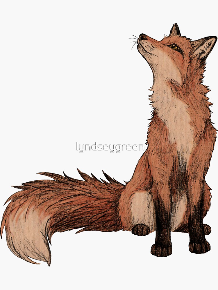 "Roter Fuchs" Sticker von lyndseygreen | Redbubble