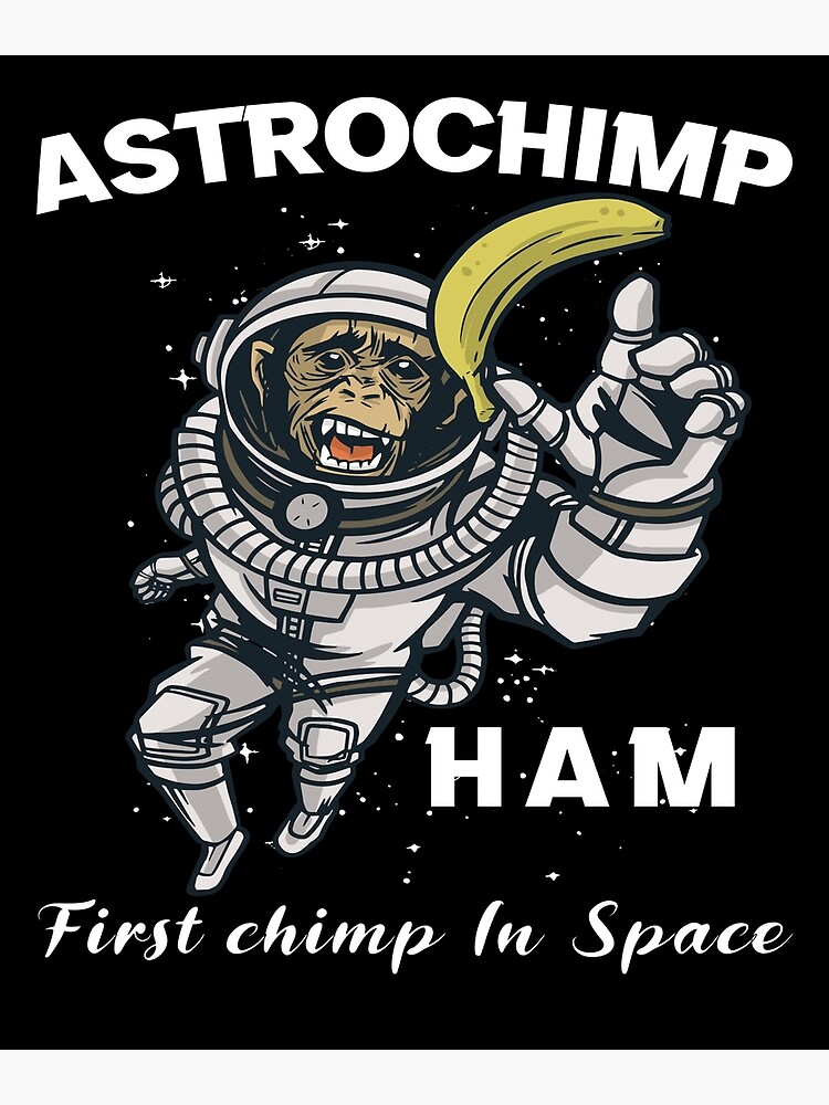 "Astrochimp Ham First Chimp In Space" Poster by The-Perfect-Fit | Redbubble