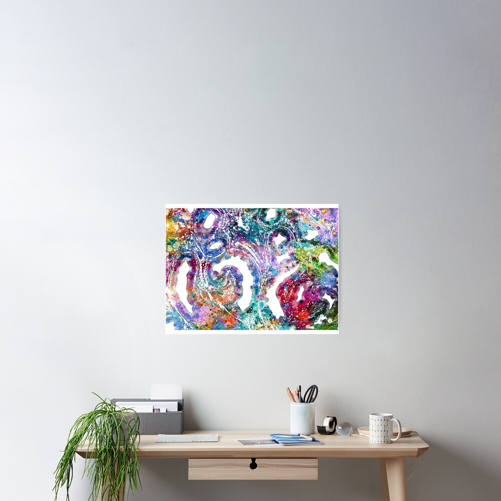 "Connective Tissues Histology" Poster by EvasDreams | Redbubble