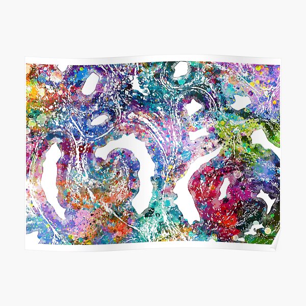 "Connective Tissues Histology" Poster for Sale by EvasDreams | Redbubble