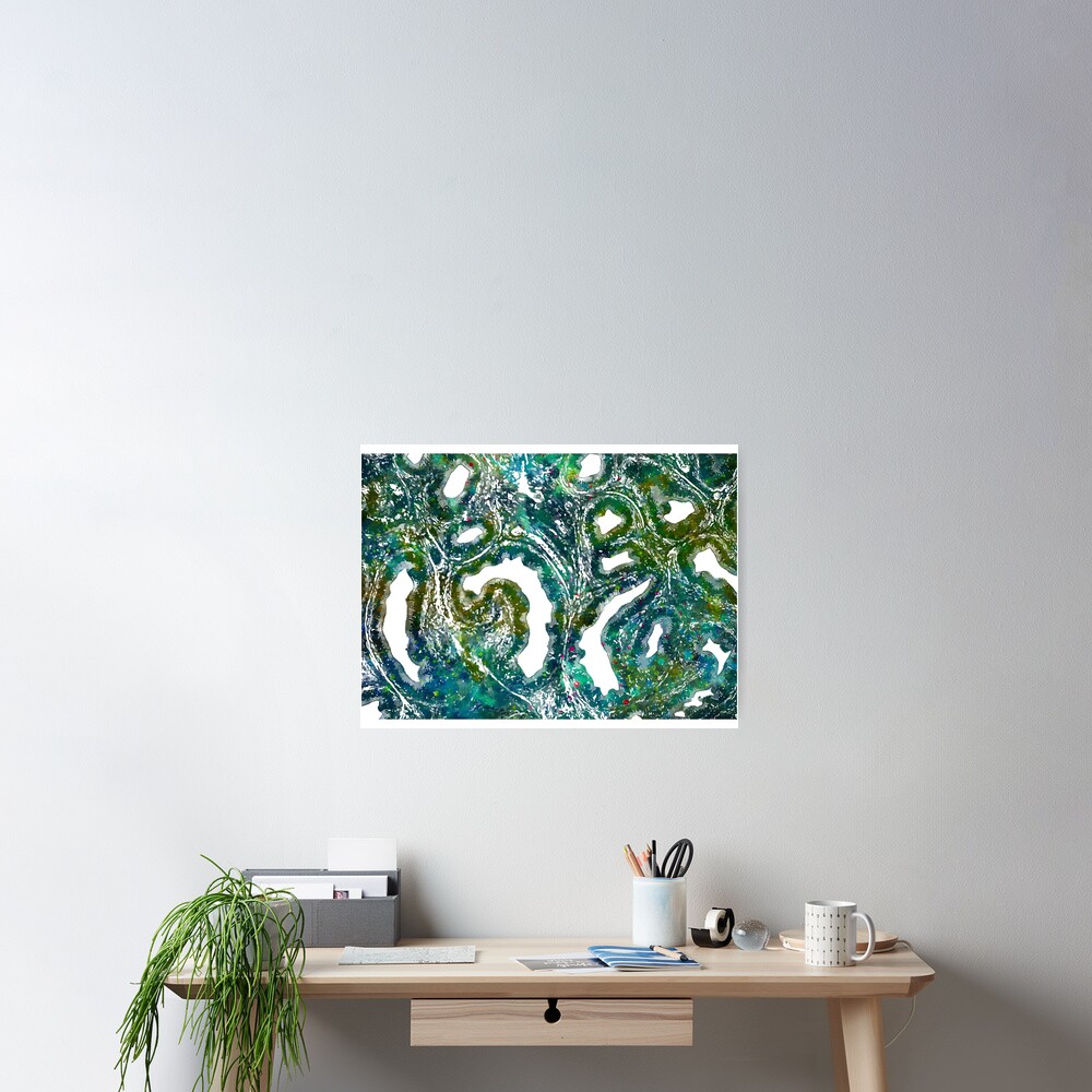 "Connective Tissues Histology" Poster for Sale by EvasDreams | Redbubble