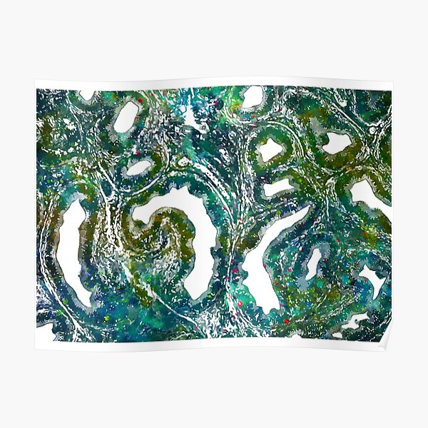 "Connective Tissues Histology" Poster for Sale by EvasDreams | Redbubble