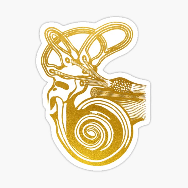 "Ear anatomy" Sticker for Sale by erzebetth | Redbubble