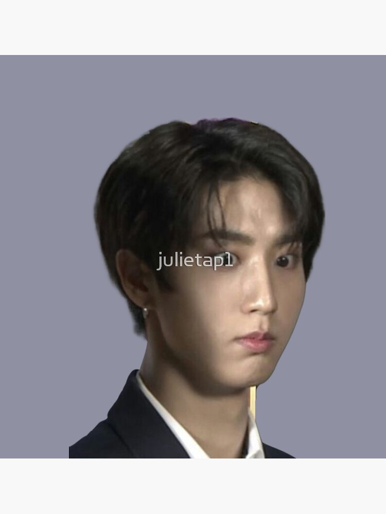 "Han Jisung Stray Kids Funny Cute Meme" Photographic Print for Sale by ...