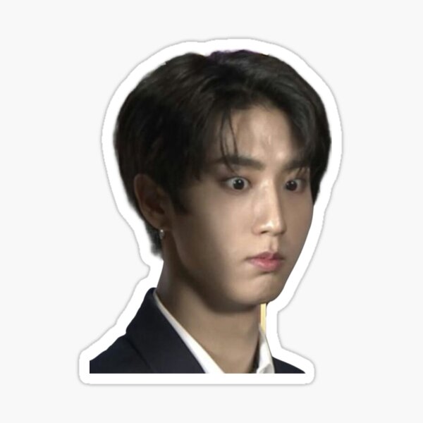 "Han Jisung Stray Kids Funny Cute Meme" Sticker for Sale by julietap1 ...