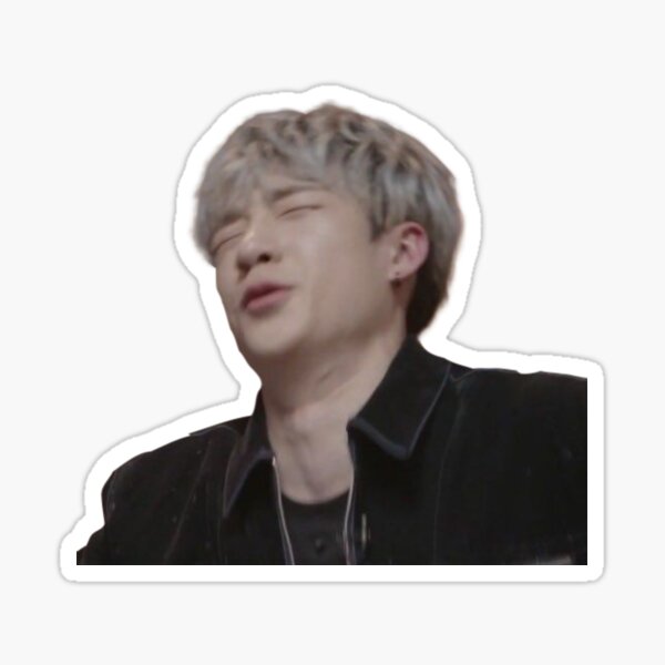 "Bang Chan Stray Kids Funny Cute Meme " Sticker for Sale by julietap1 ...