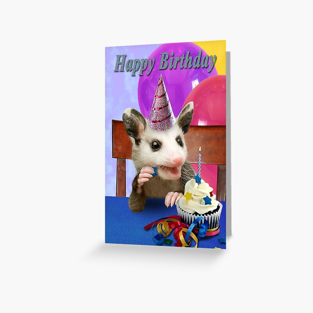"Birthday Opossum" Greeting Card for Sale by jkartlife | Redbubble