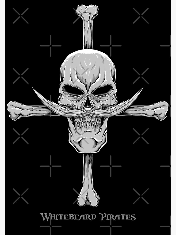 "Whitebeard Jolly Roger Art" Art Print for Sale by svthyp | Redbubble