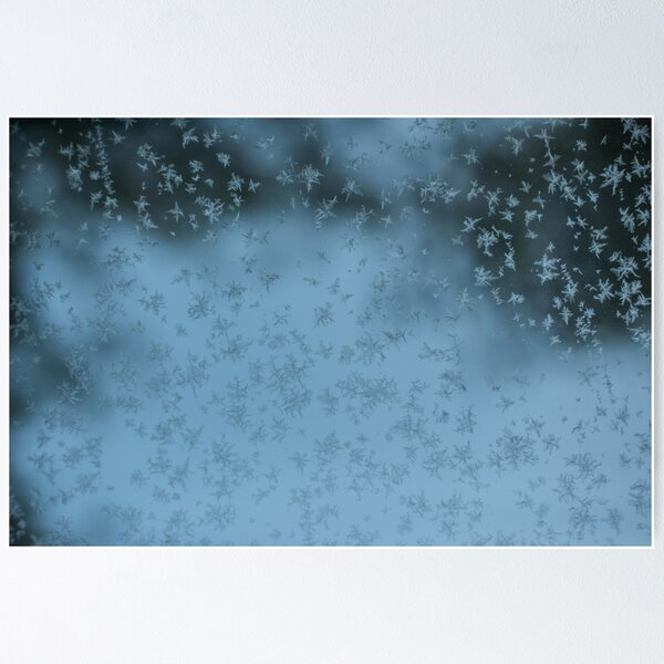 "Snow Flakes" Poster for Sale by linalavonne | Redbubble