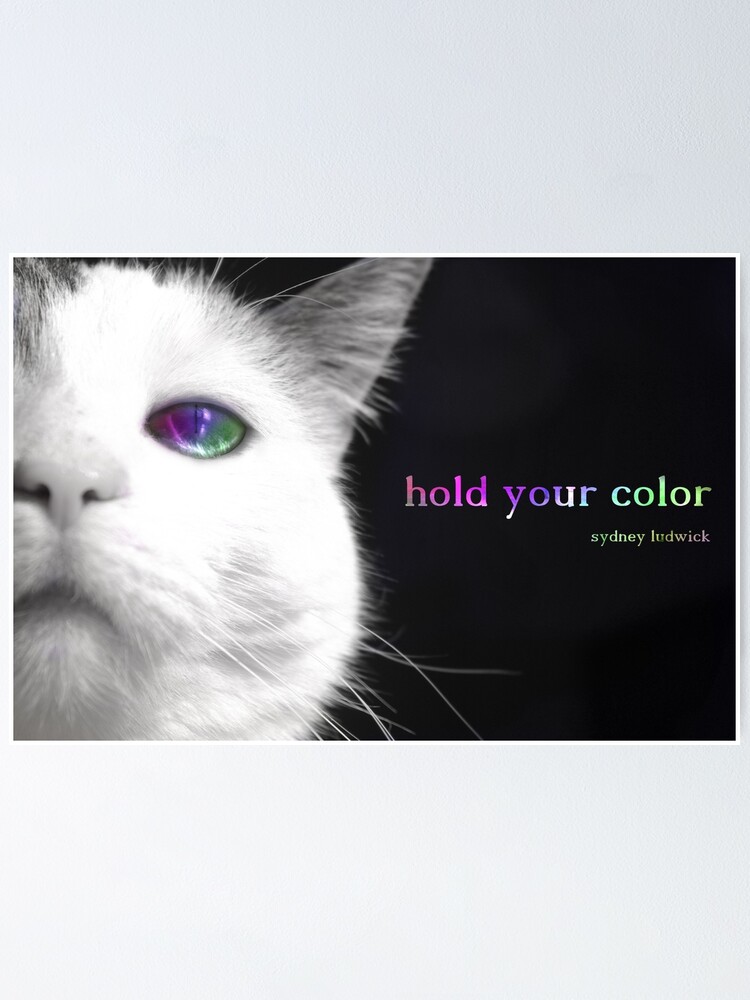 "Hold Your Color" Poster for Sale by SydneyLudwick | Redbubble