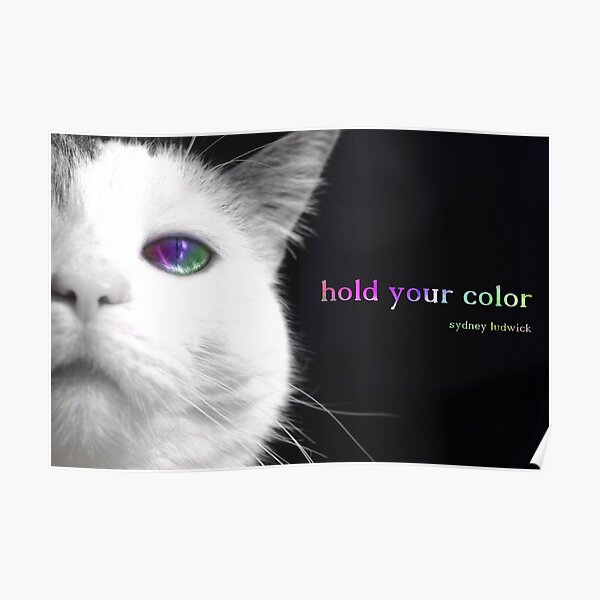 "Hold Your Color" Poster for Sale by SydneyLudwick | Redbubble