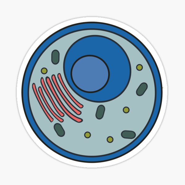 "Minimalist Eukaryotic Cell " Sticker for Sale by StudyBeeBritney ...