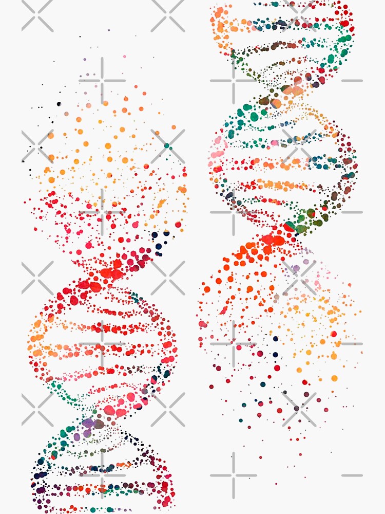 "DNA Watercolor Art, DNA Double Helix Genetic" Sticker by ...