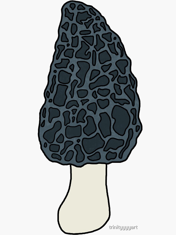 "Morel Mushroom " Sticker for Sale by trinityyyyart | Redbubble