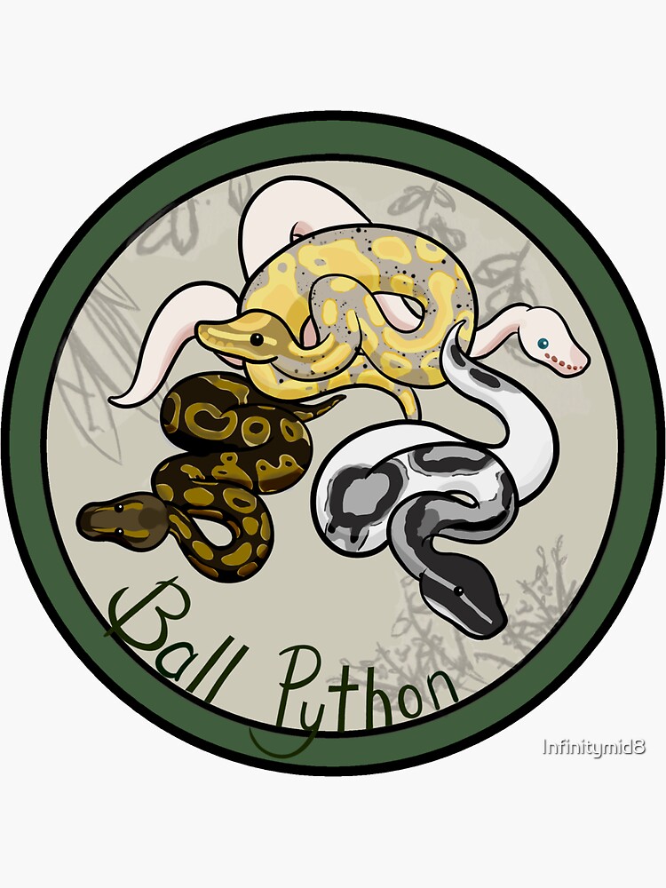 "Ball Pythons" Sticker for Sale by Infinitymid8 | Redbubble