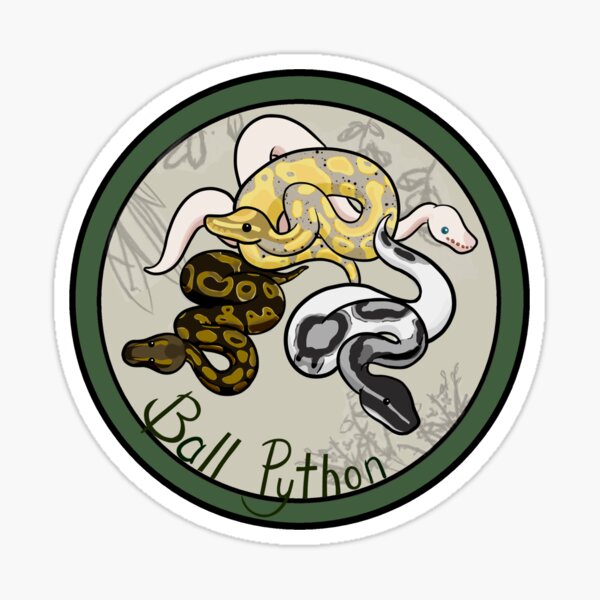 "Ball Pythons" Sticker for Sale by Infinitymid8 | Redbubble