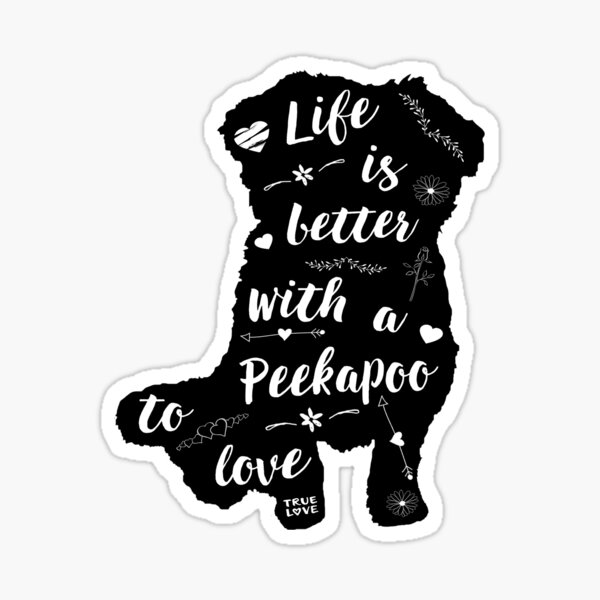 Peekapoo Gifts & Merchandise for Sale | Redbubble